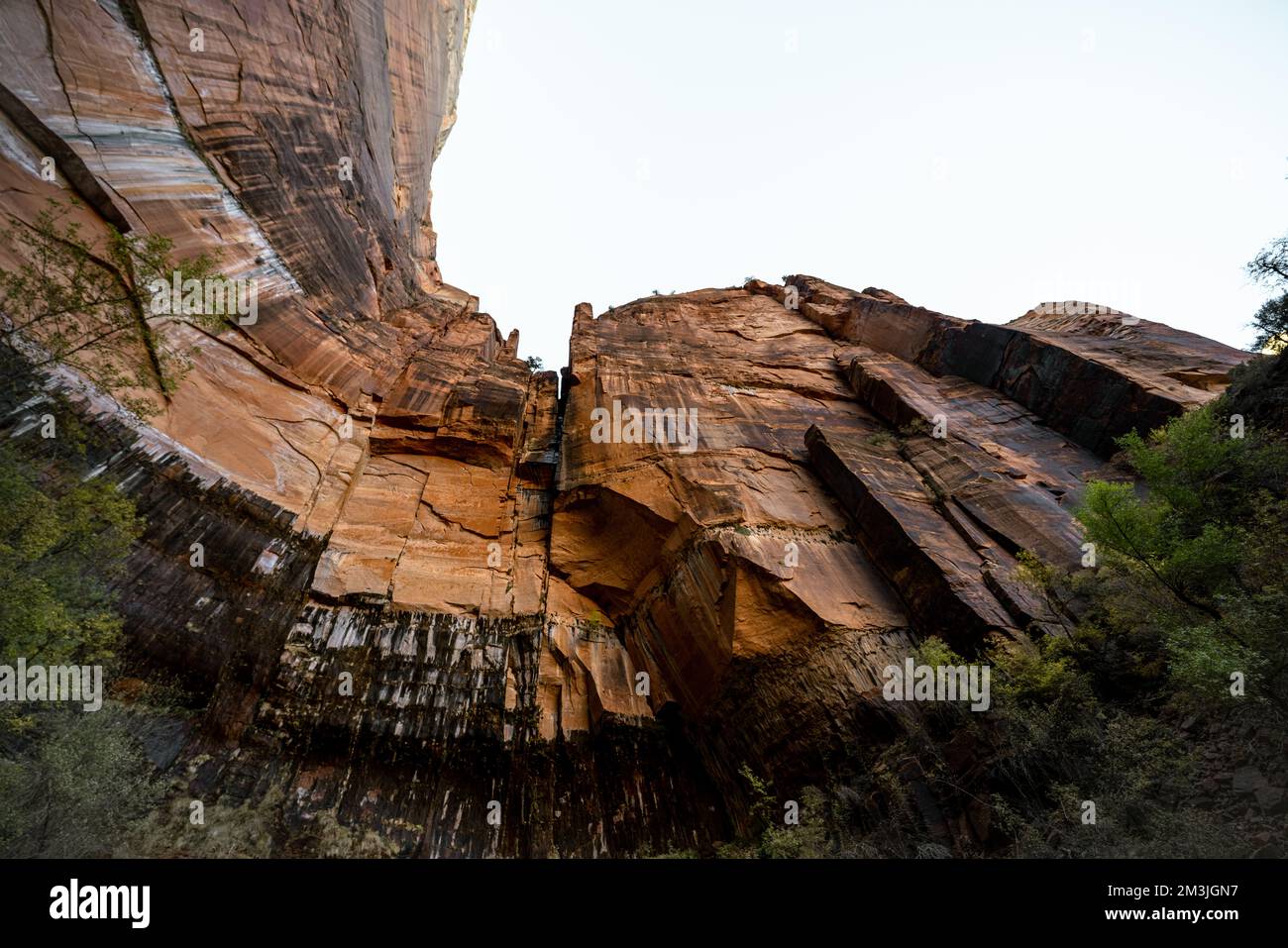 Various colors, textures, scenery and rock formations among the Zion ...