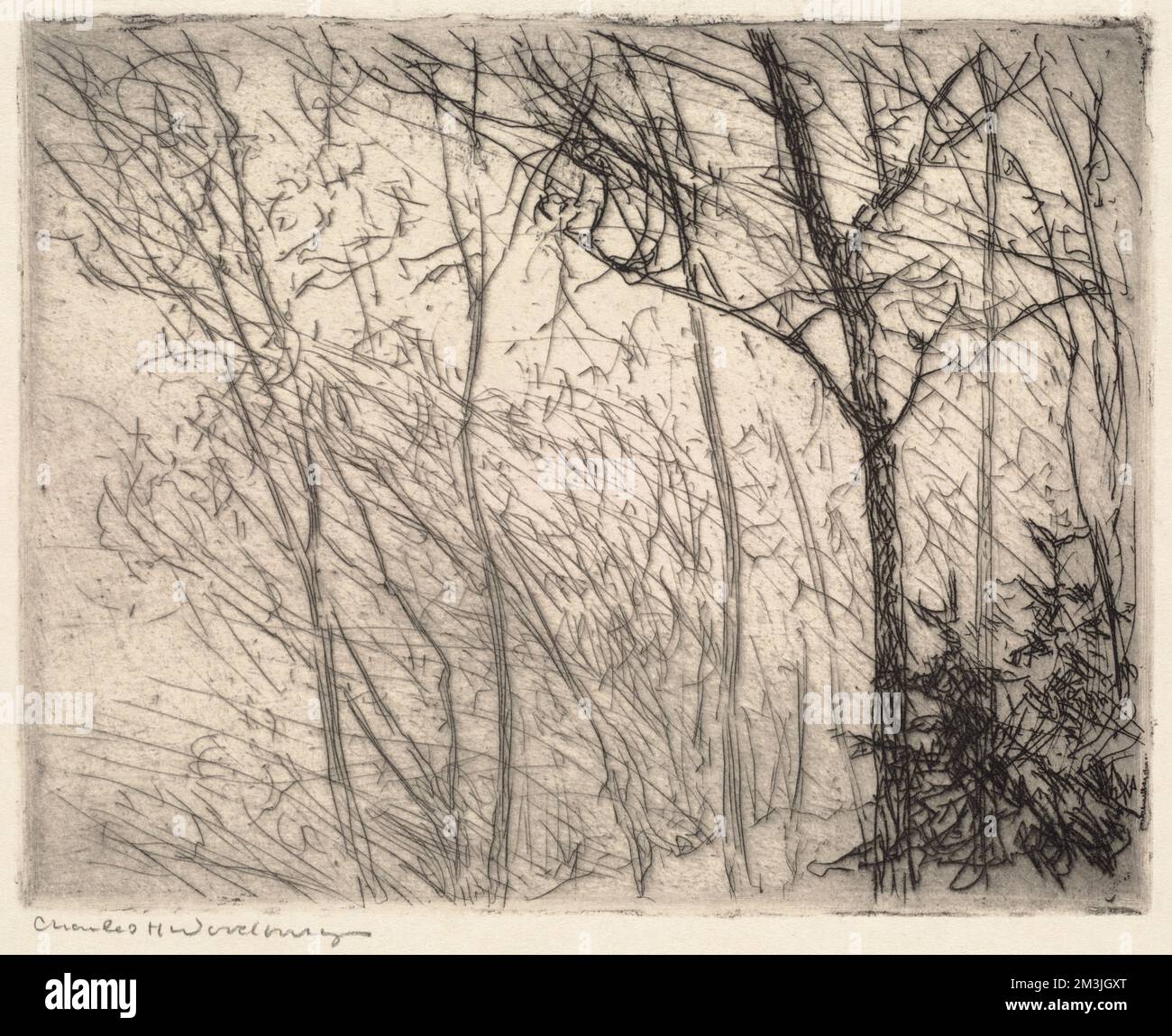 Oakwood V , Trees. Charles H. Woodbury (1864-1940). Prints Stock Photo ...