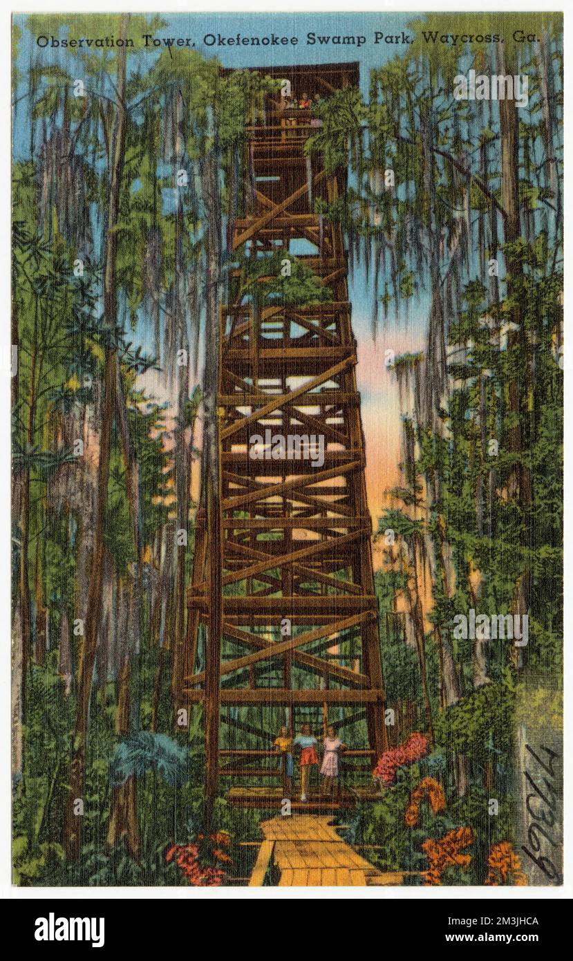 Observation tower, Okefenokee Swamp Park, Waycross, Ga. , Parks ...