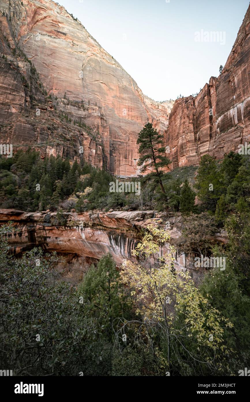 Various colors, textures, scenery and rock formations among the Zion ...