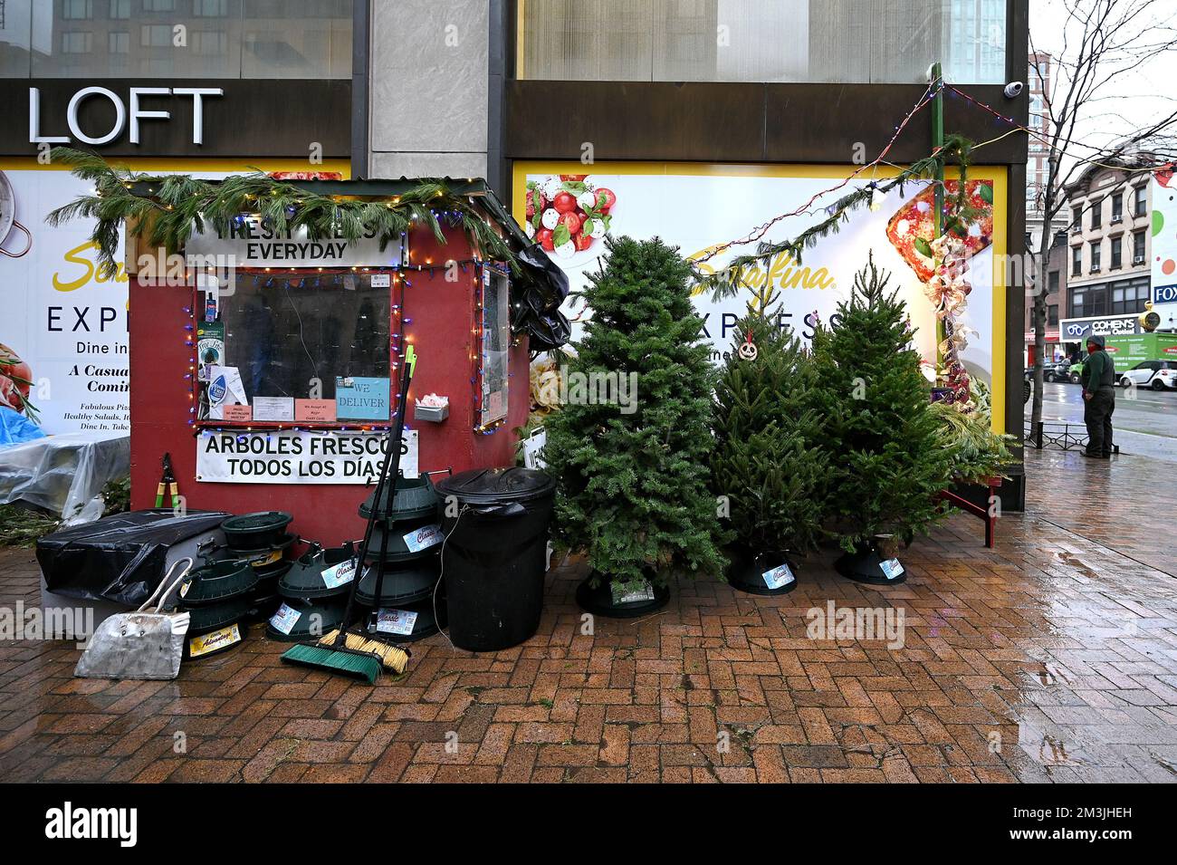 New York, USA. 15th Dec, 2022. A vendor's stand with Christmas trees of ...