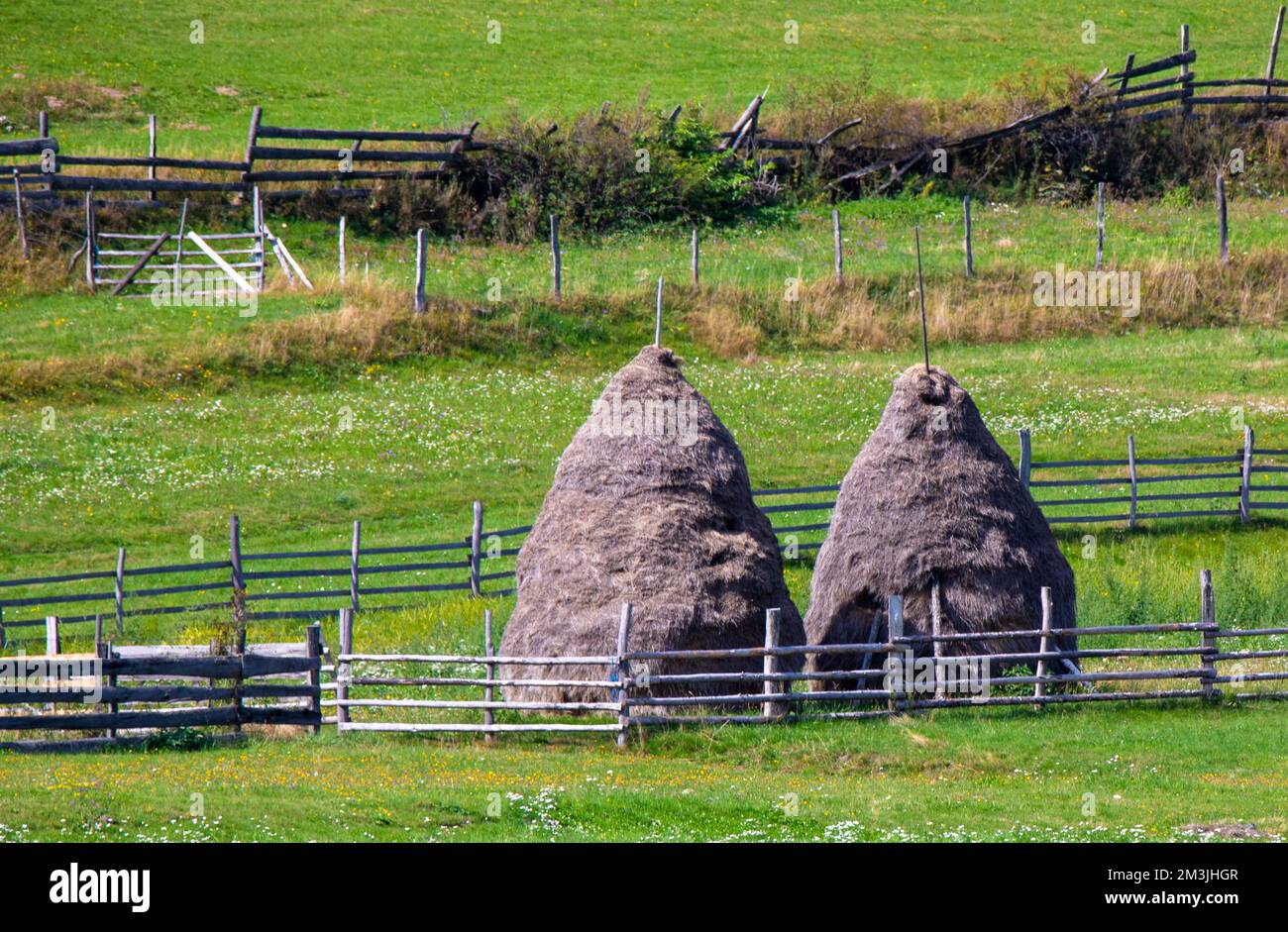 Two haystacks on a sunlit field wooden fences around Stock Photo - Alamy