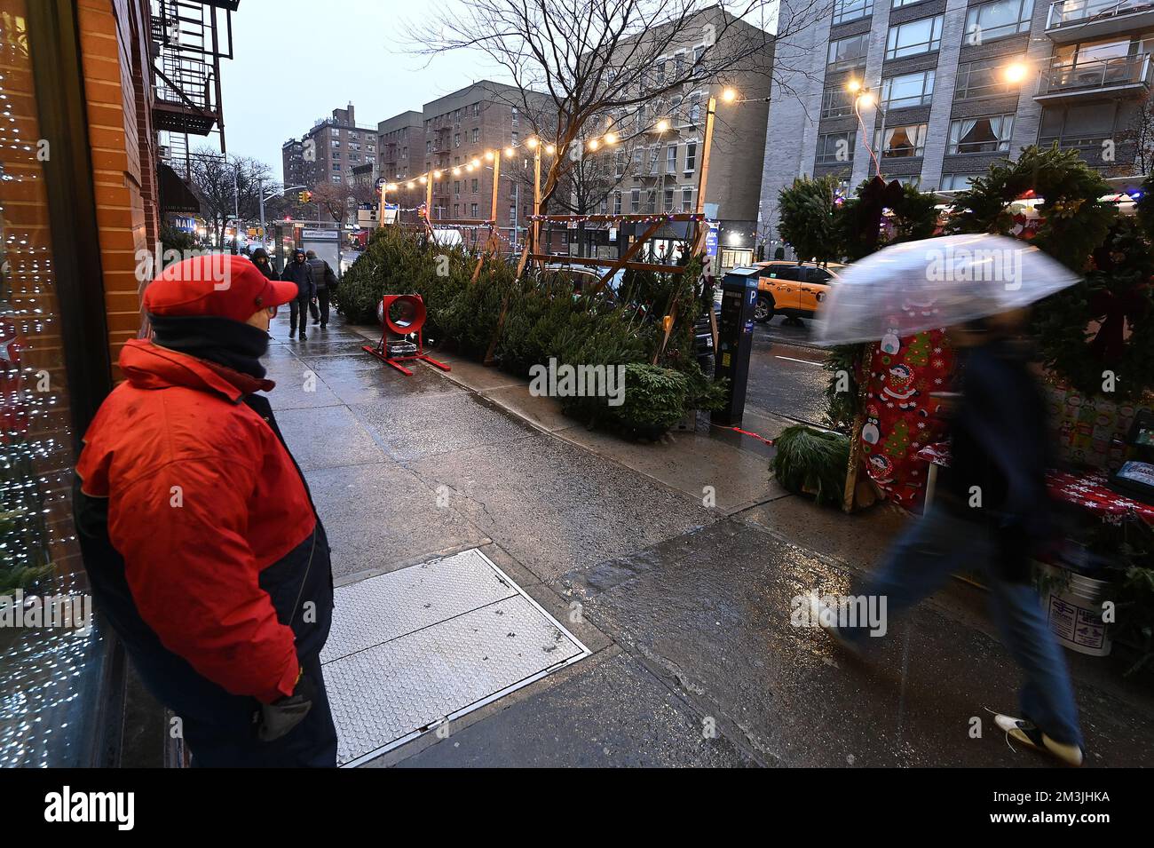 New York, USA. 15th Dec, 2022. A Christmas tree vendor looks on as a ...