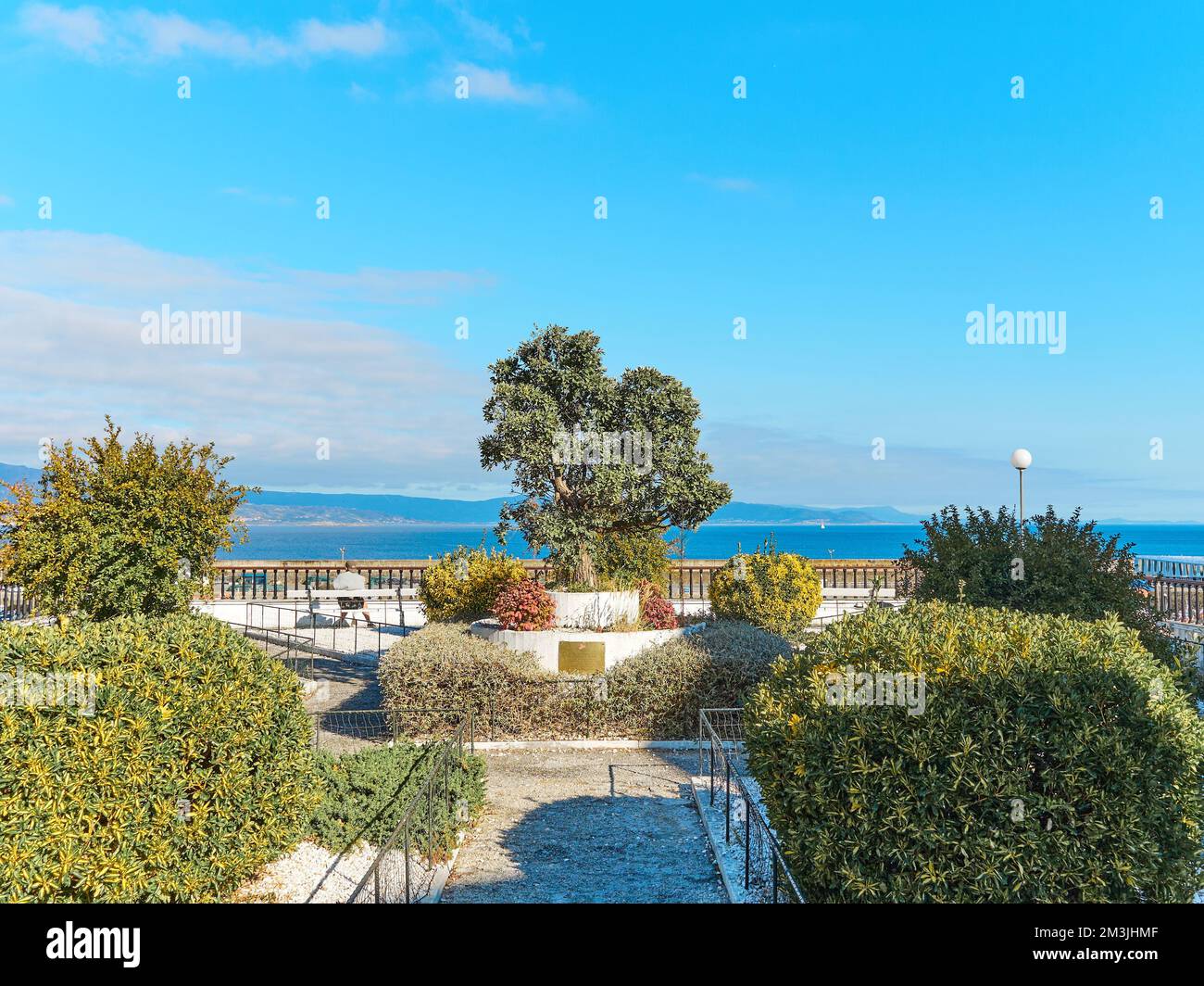 A high-angle of a park with sunlit trees around and clear sky ...