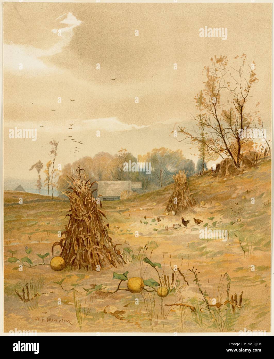 October , Trees, Pumpkins. Louis Prang & Company Collection Stock Photo ...