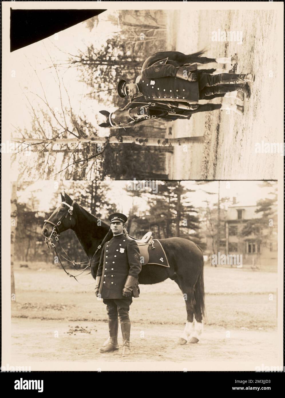 Officer McCabe , Police, Horses. Leon Abdalian Collection Stock Photo ...