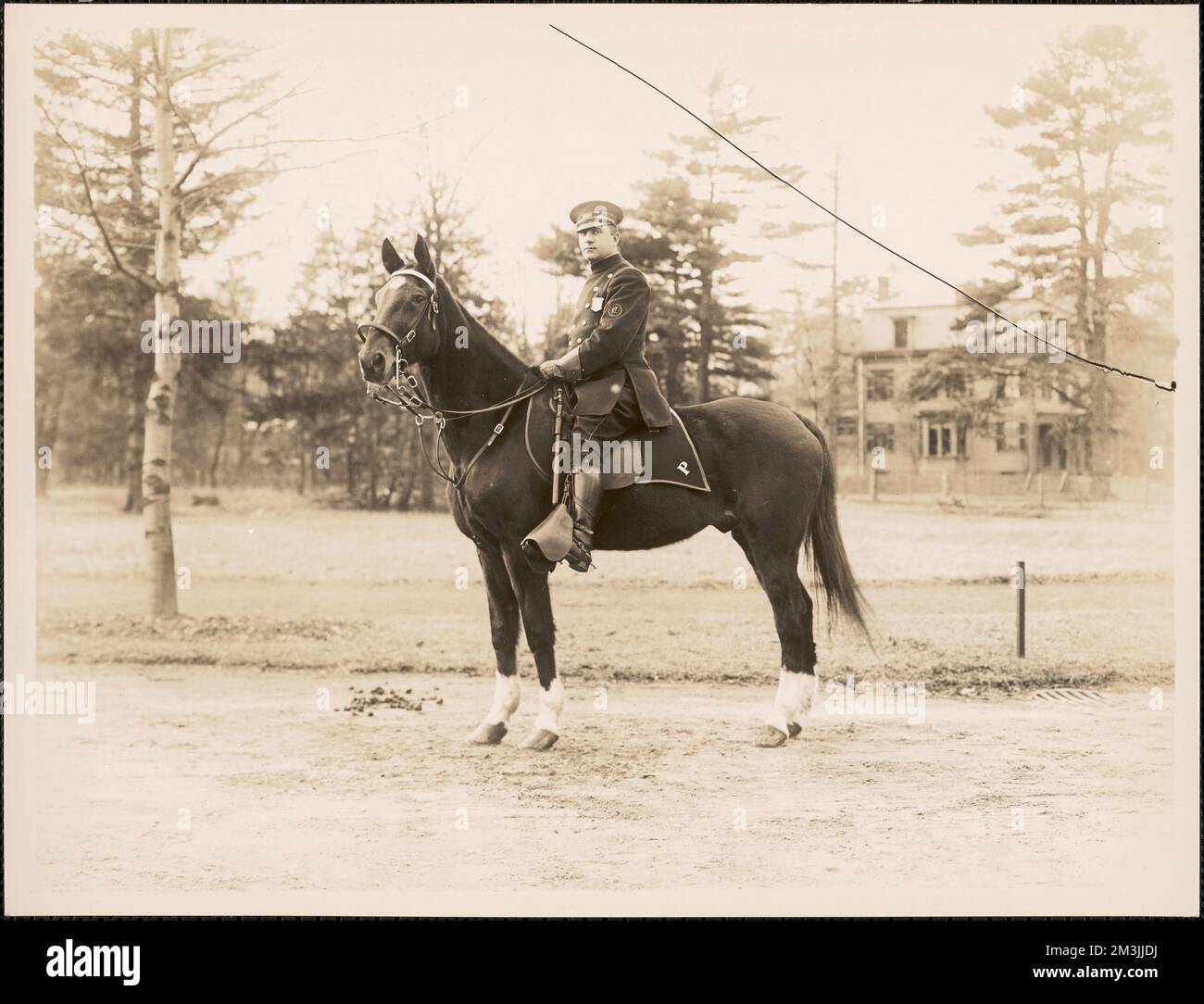 Officer McCabe astride a horse , Police, Horses, Horseback riding. Leon ...
