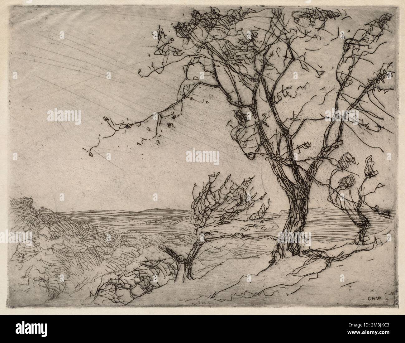 Old apple tree , Trees. Charles H. Woodbury (1864-1940). Prints Stock ...