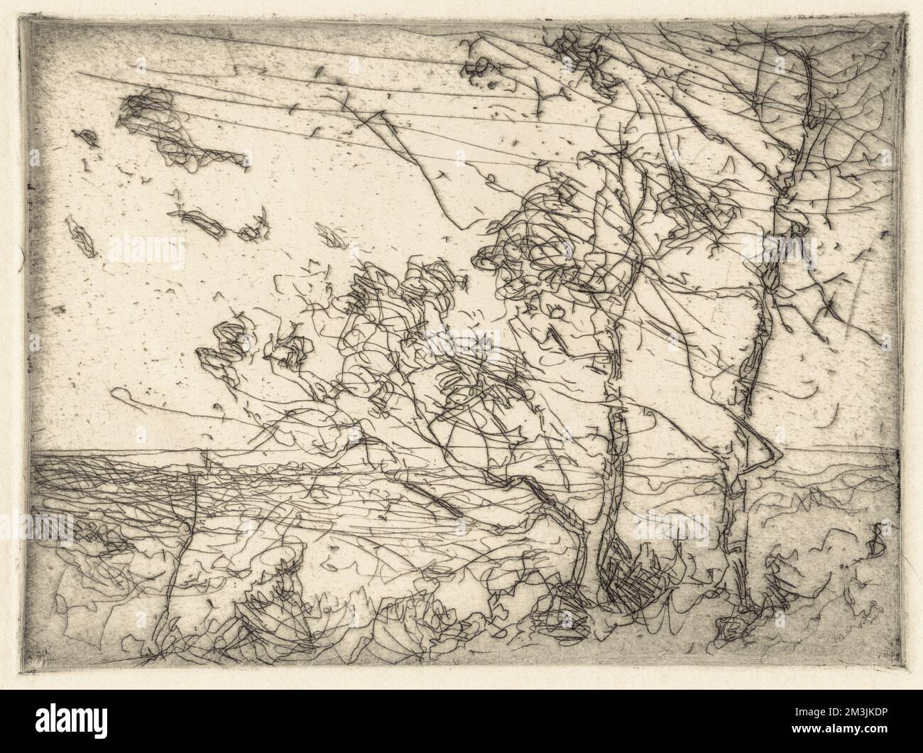 Old apple tree from mountain , Trees. Charles H. Woodbury (1864-1940 ...