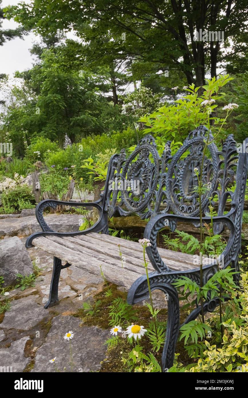 Antique Victorian style cast-iron and wooden garden bench in landscaped ...