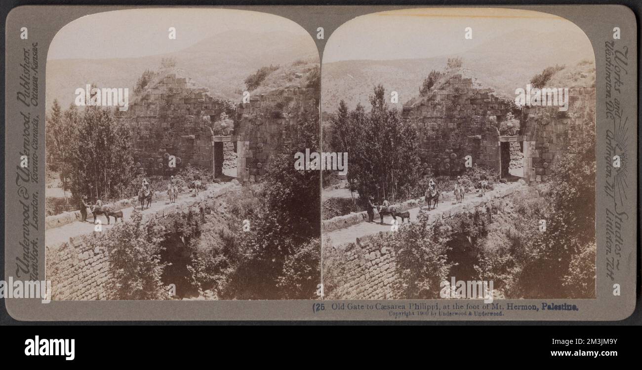 Matt dorr hi-res stock photography and images - Alamy