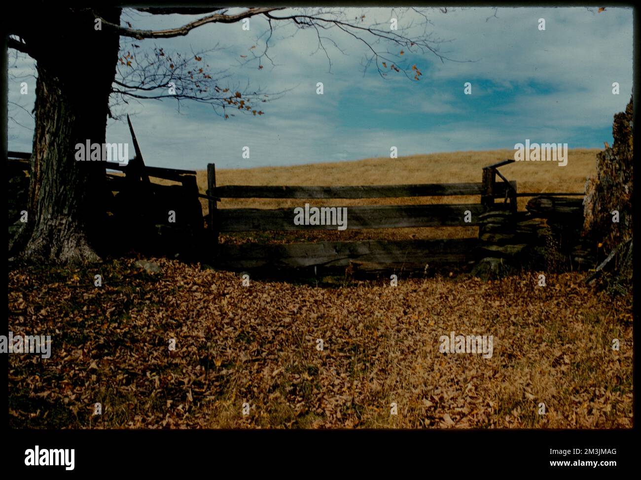 Mitchell gate hi-res stock photography and images - Alamy