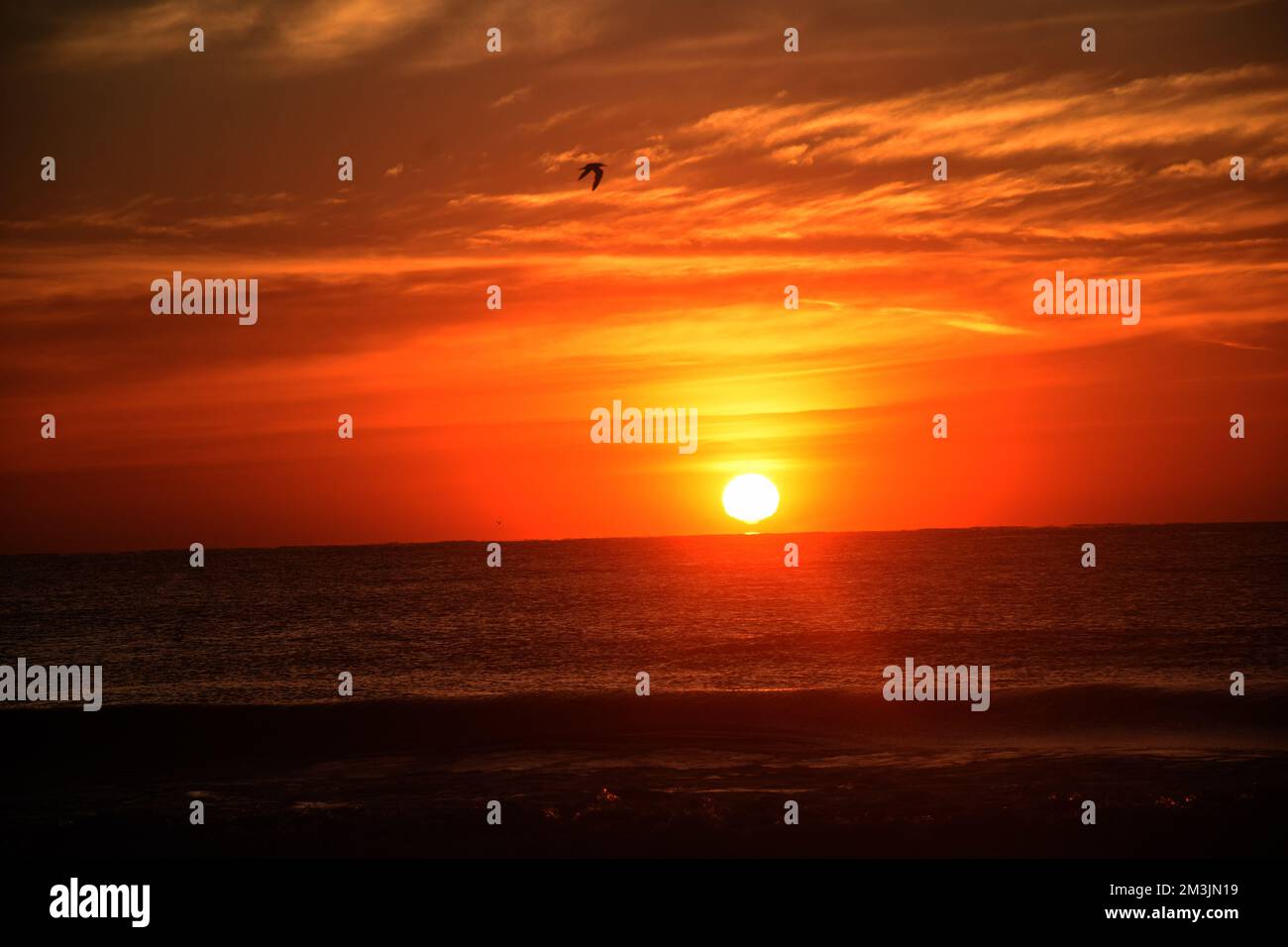 General view of the sunset on the heavenly Mazunte beach, a beautiful ...
