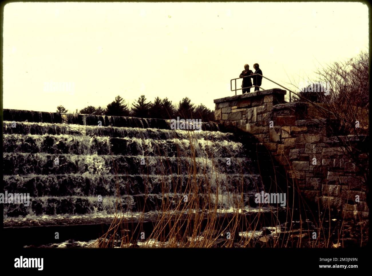 Old mill dam, 'Stop River' , State parks & reserves, Rivers, Dams ...