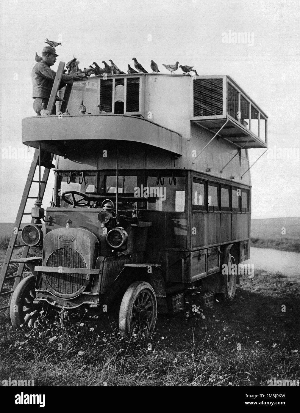 A converted bus for pigeons Stock Photo - Alamy