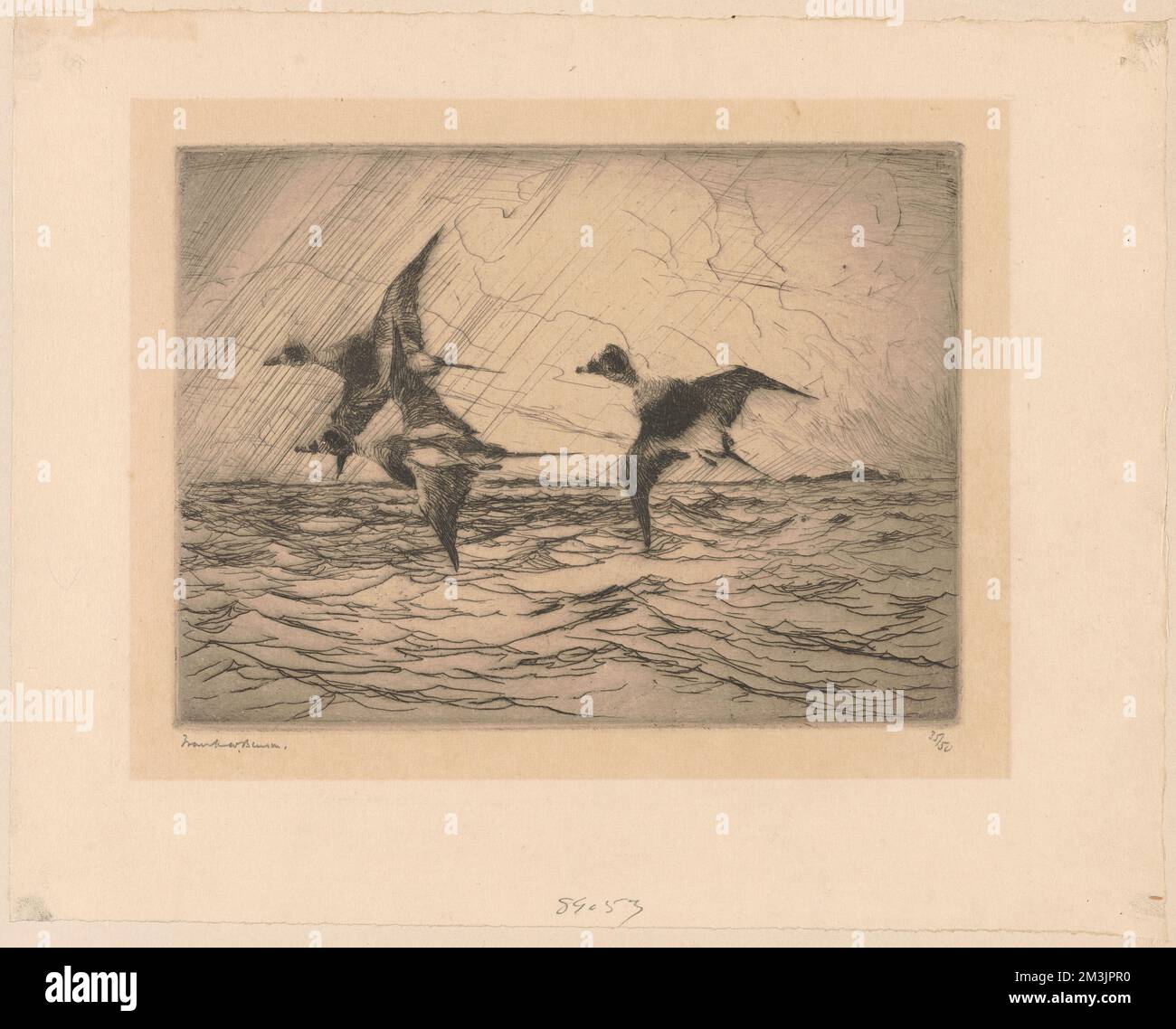 Old squaws , Ducks, Flying, Seas, Long-tailed duck. Frank W. Benson ...