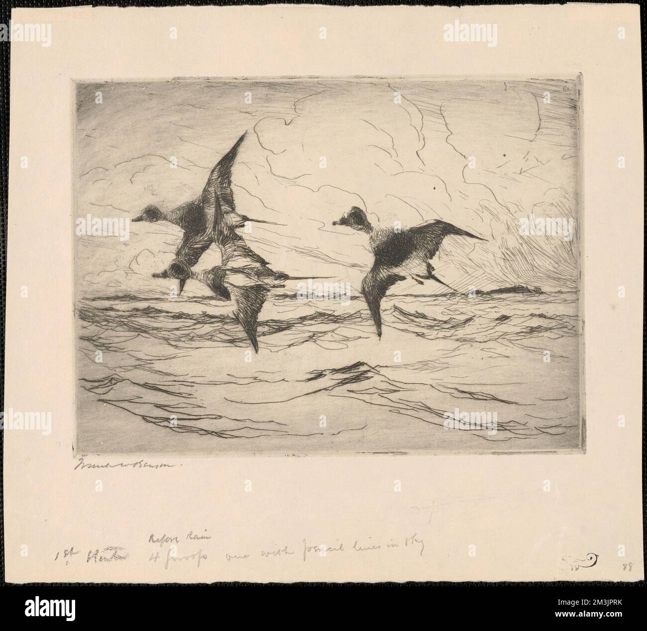 Old squaws , Ducks, Seas, Flying, Long-tailed duck. Frank W. Benson ...