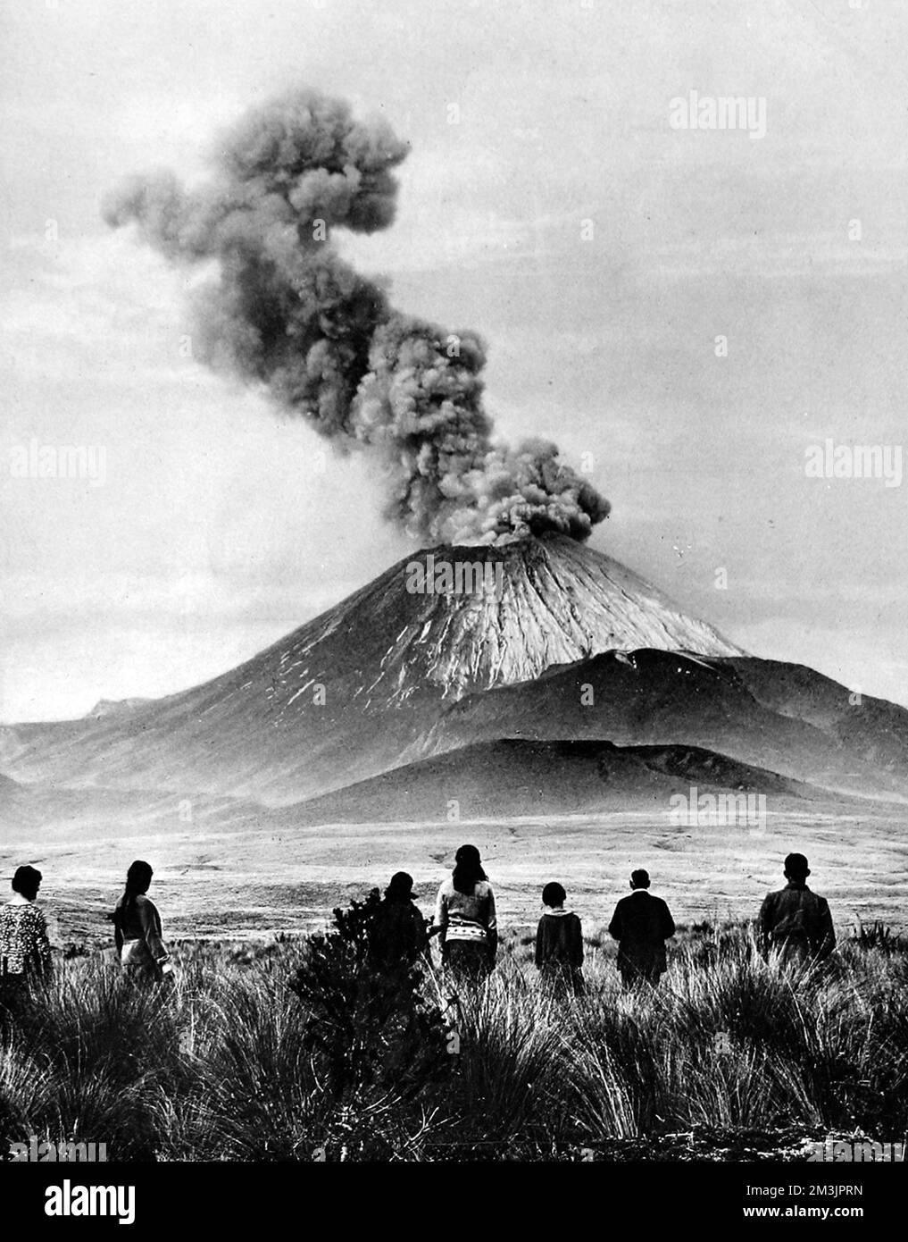 Napier display Black and White Stock Photos & Images - Alamy