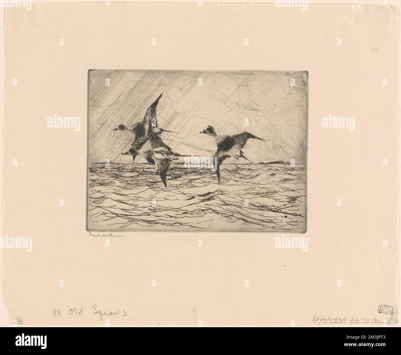 Old squaws , Ducks, Seas, Flying, Long-tailed duck. Frank W. Benson ...