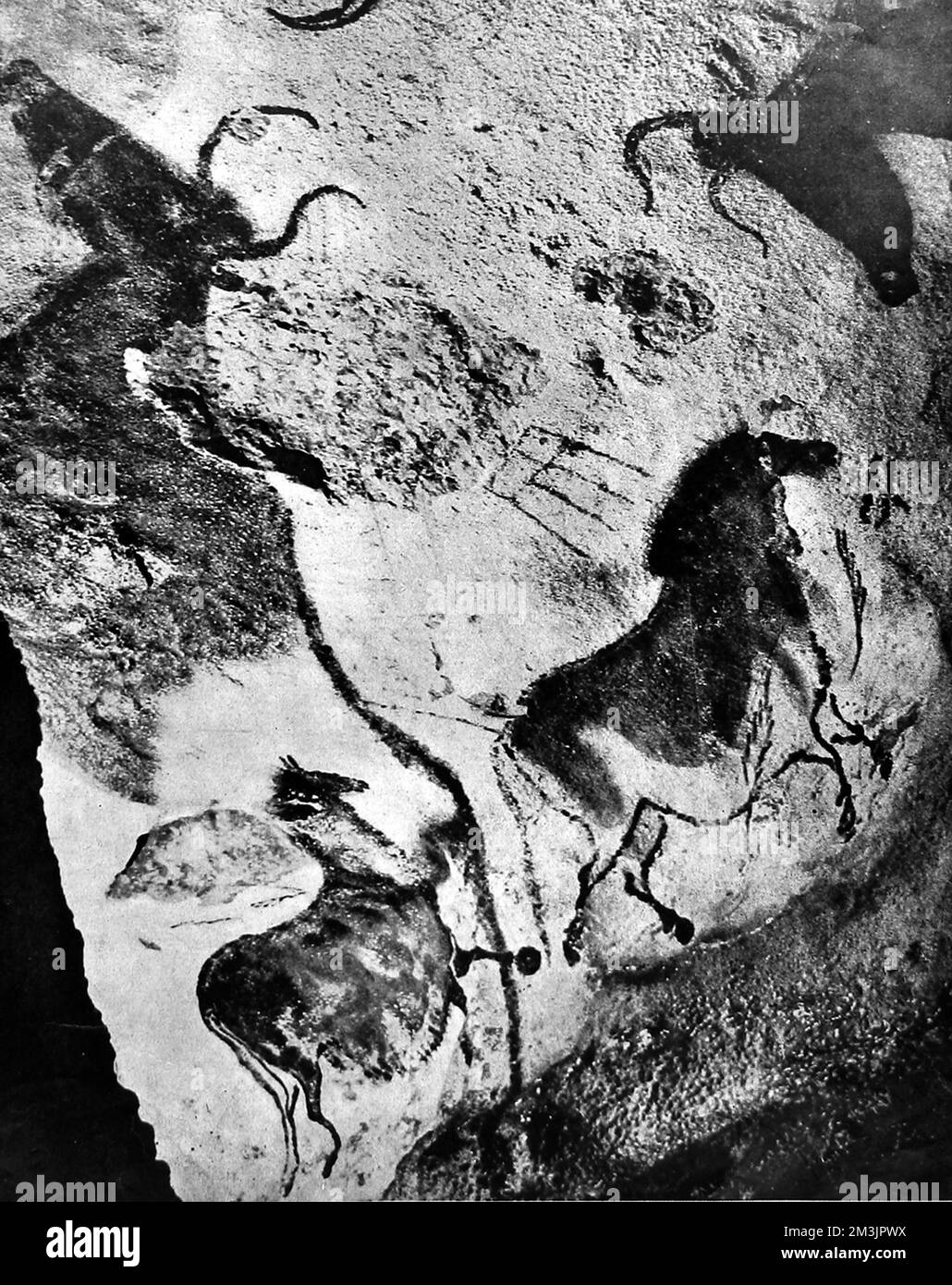 Cave art hi-res stock photography and images - Alamy