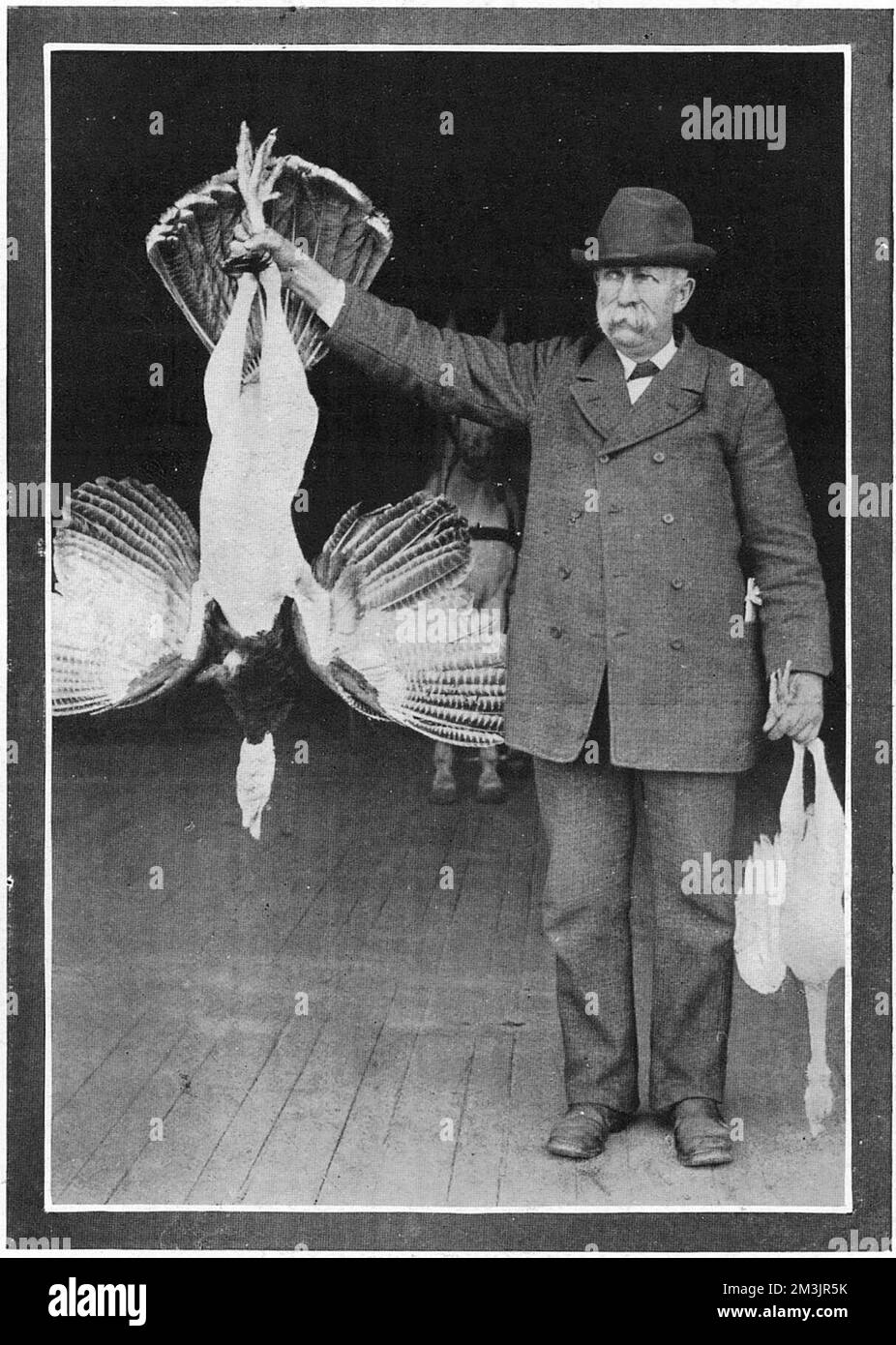 Historical christmas turkey hi-res stock photography and images - Alamy