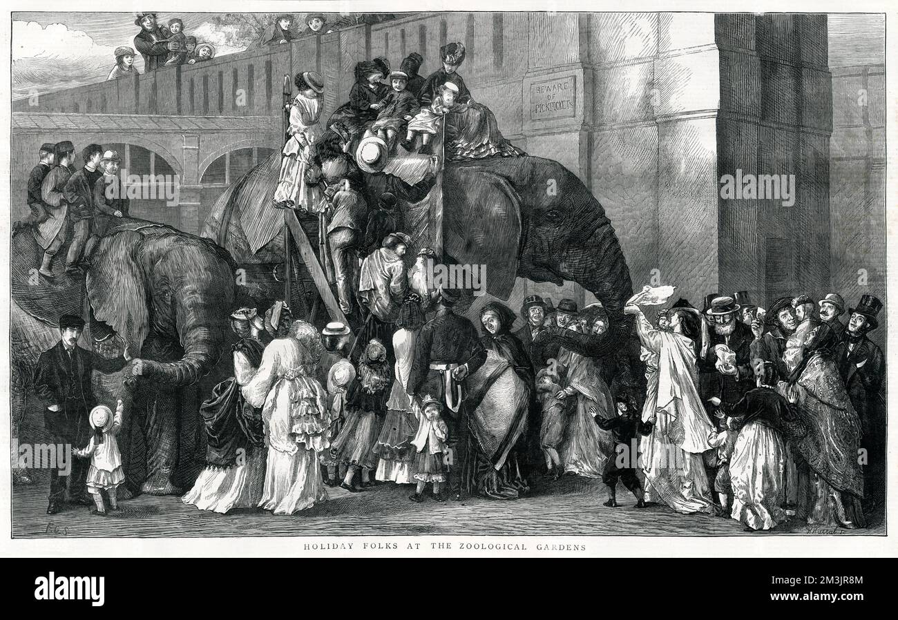 Zoo animals crowd hi-res stock photography and images - Alamy