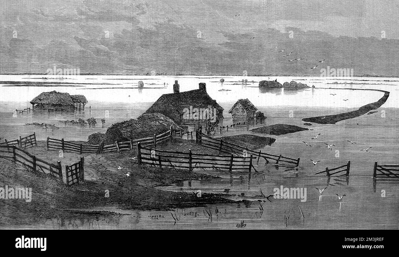 Flooded fens around the Coffer Dam 1862 Stock Photo - Alamy