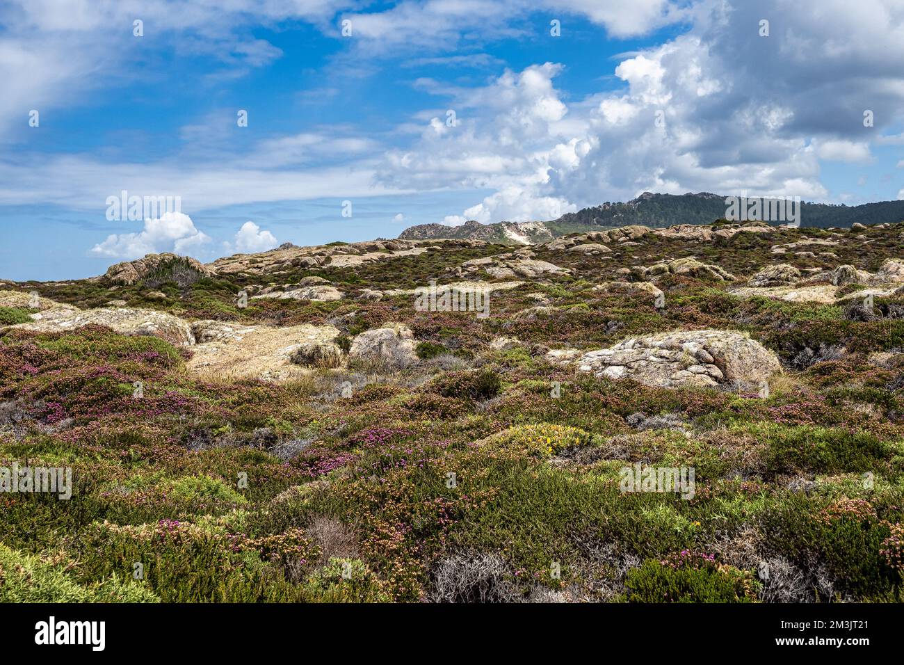 Trece praia hi-res stock photography and images - Alamy