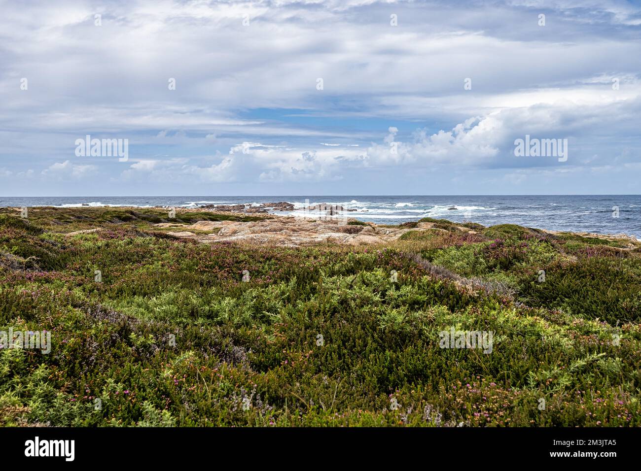 Cemiterio dos Ingleses, the cemetery of the Englishmen at Costa da ...