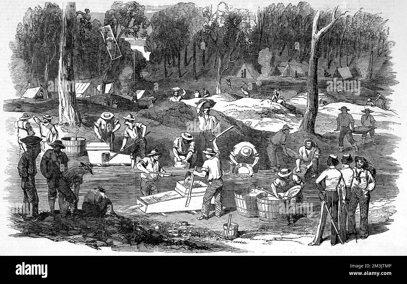 The diggers at Forest Creek, Port Phillip, Australia Stock Photo - Alamy