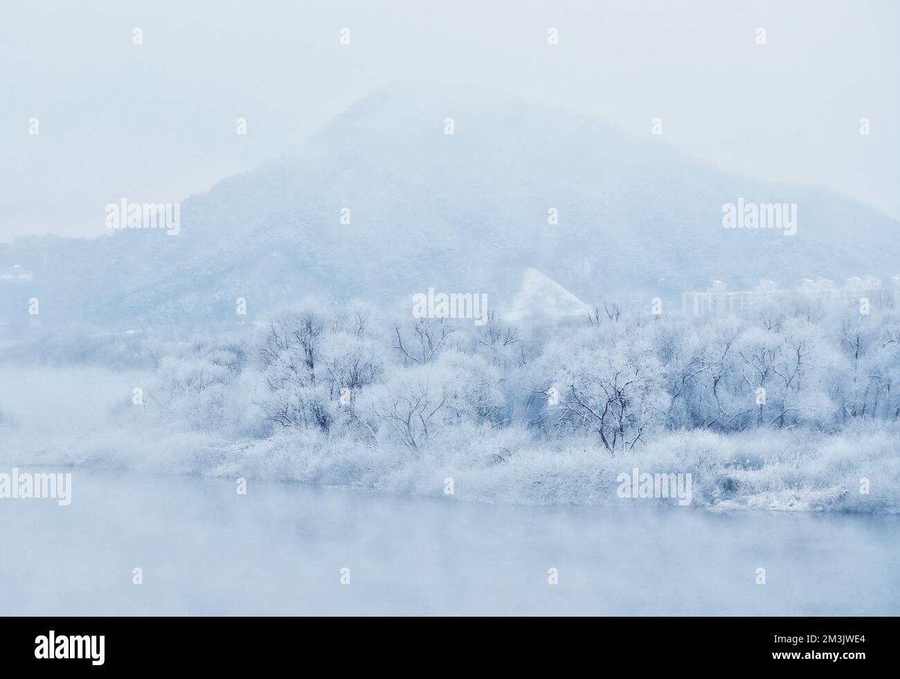 16th Dec, 2022. Hoarfrost Hoarfrost blankets trees and grass along the ...