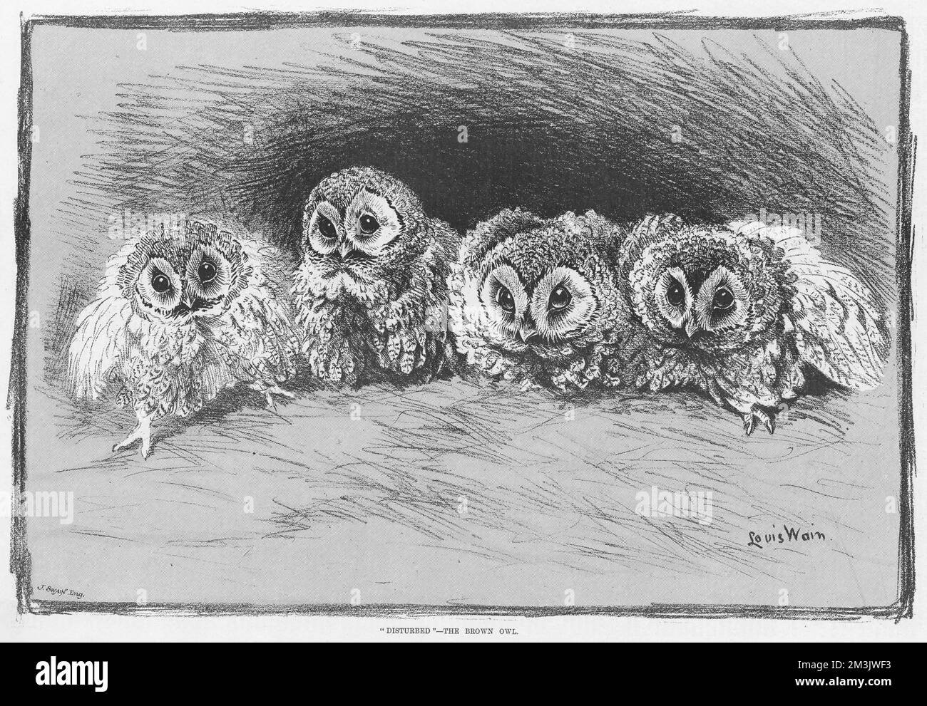 Louis wain hi-res stock photography and images - Alamy