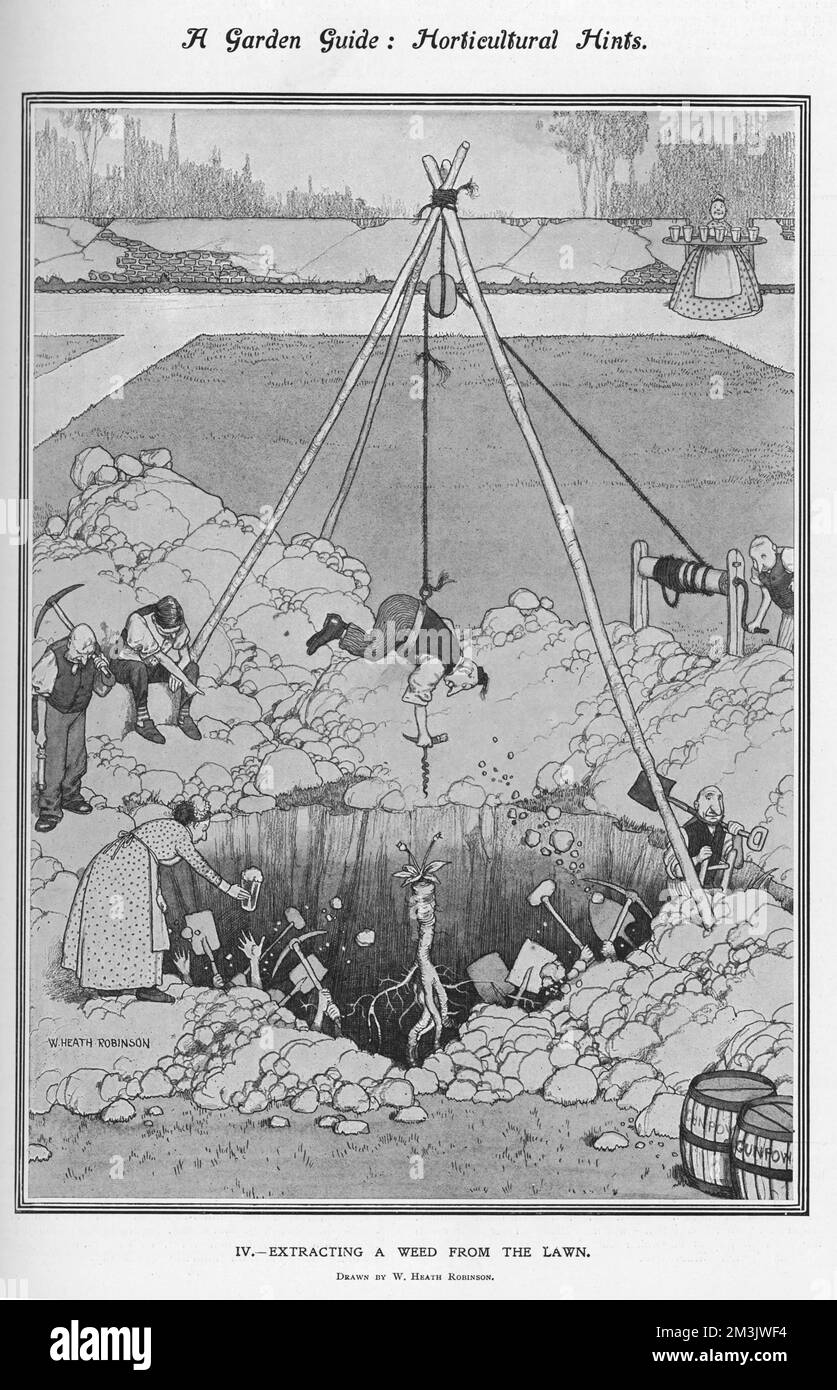 Weeding lawn Black and White Stock Photos & Images - Alamy