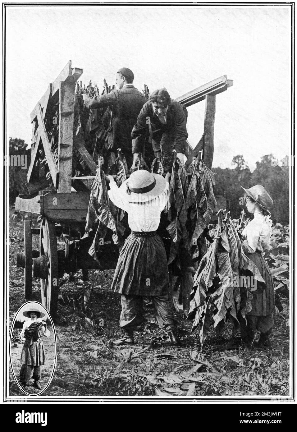 Farm do Cut Out Stock Images & Pictures - Alamy