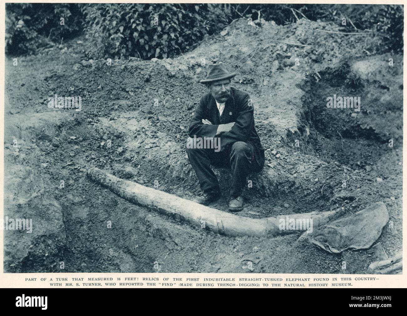 An archaeologist sits next to the unearthed remains Stock Photo - Alamy