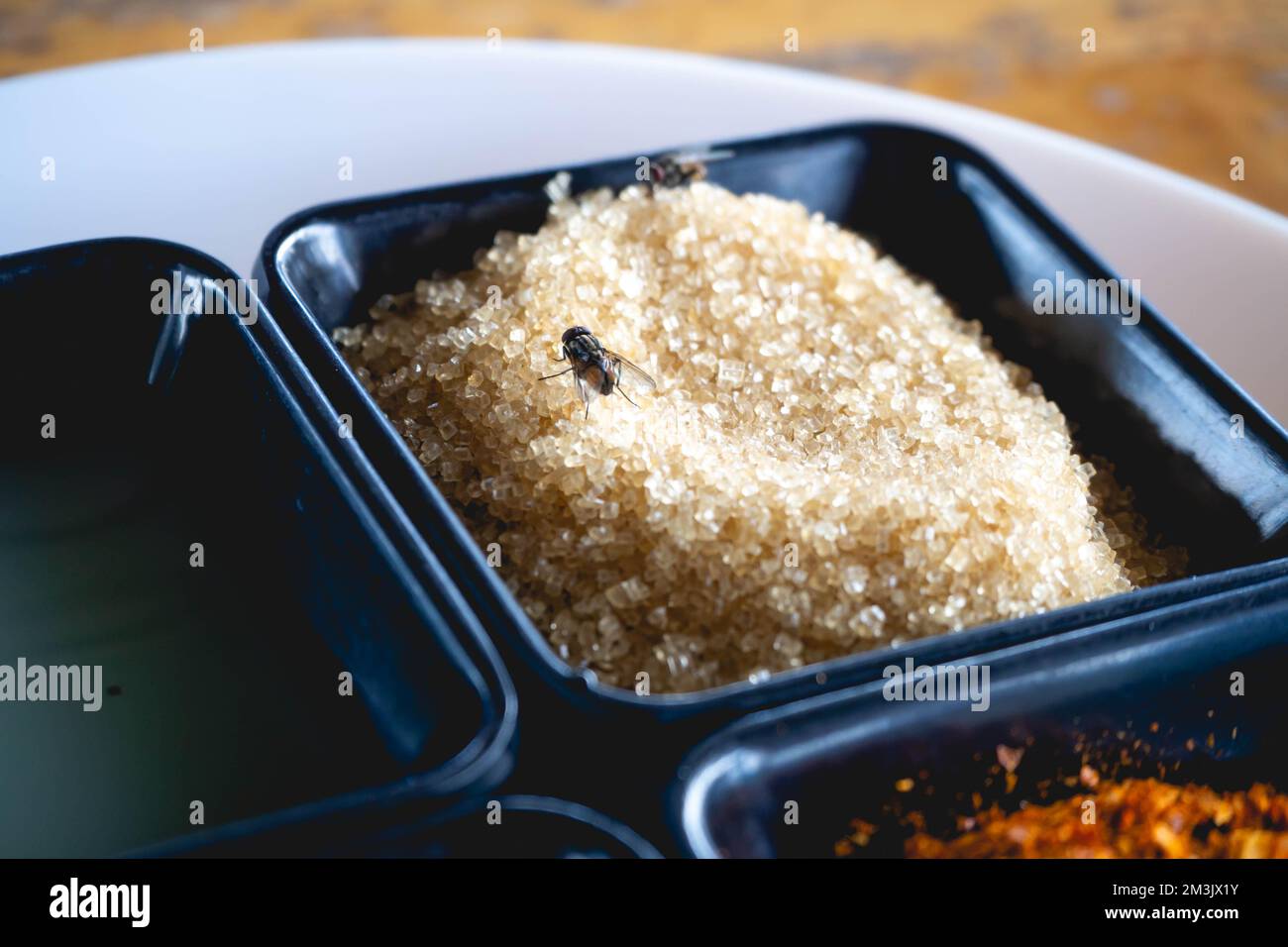 Flies that are eating sugar from the seasoning Stock Photo - Alamy
