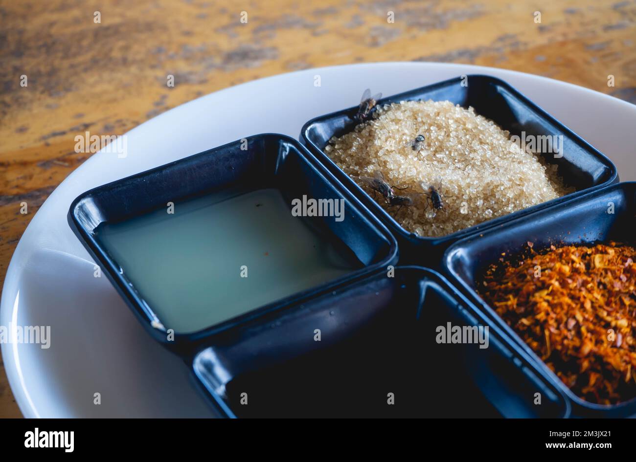 Flies that are eating sugar from the seasoning Stock Photo - Alamy