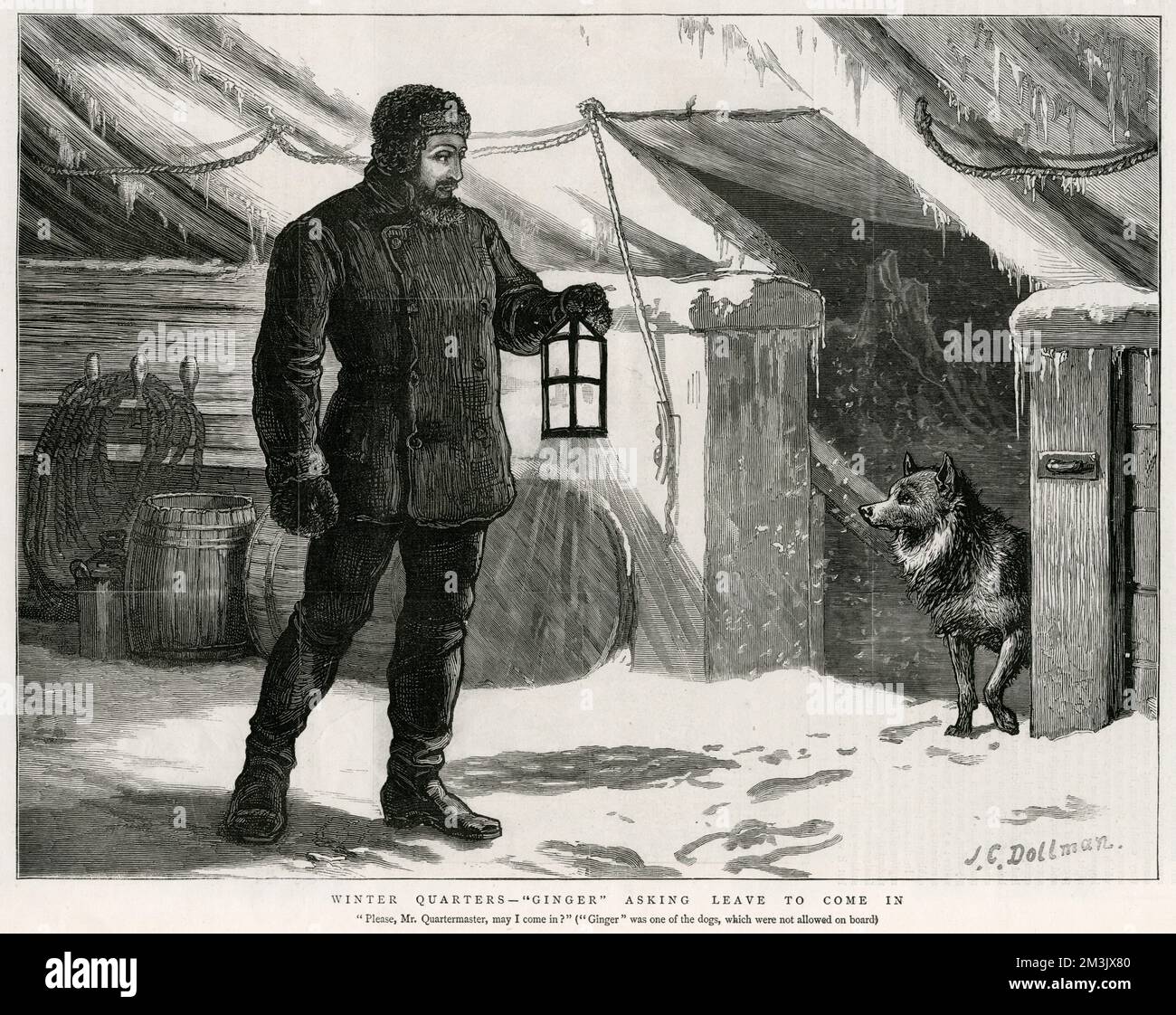 Dogs on watch hi-res stock photography and images - Alamy