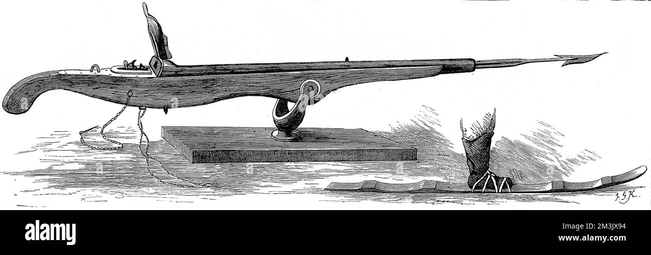 Harpoon whale hi-res stock photography and images - Alamy