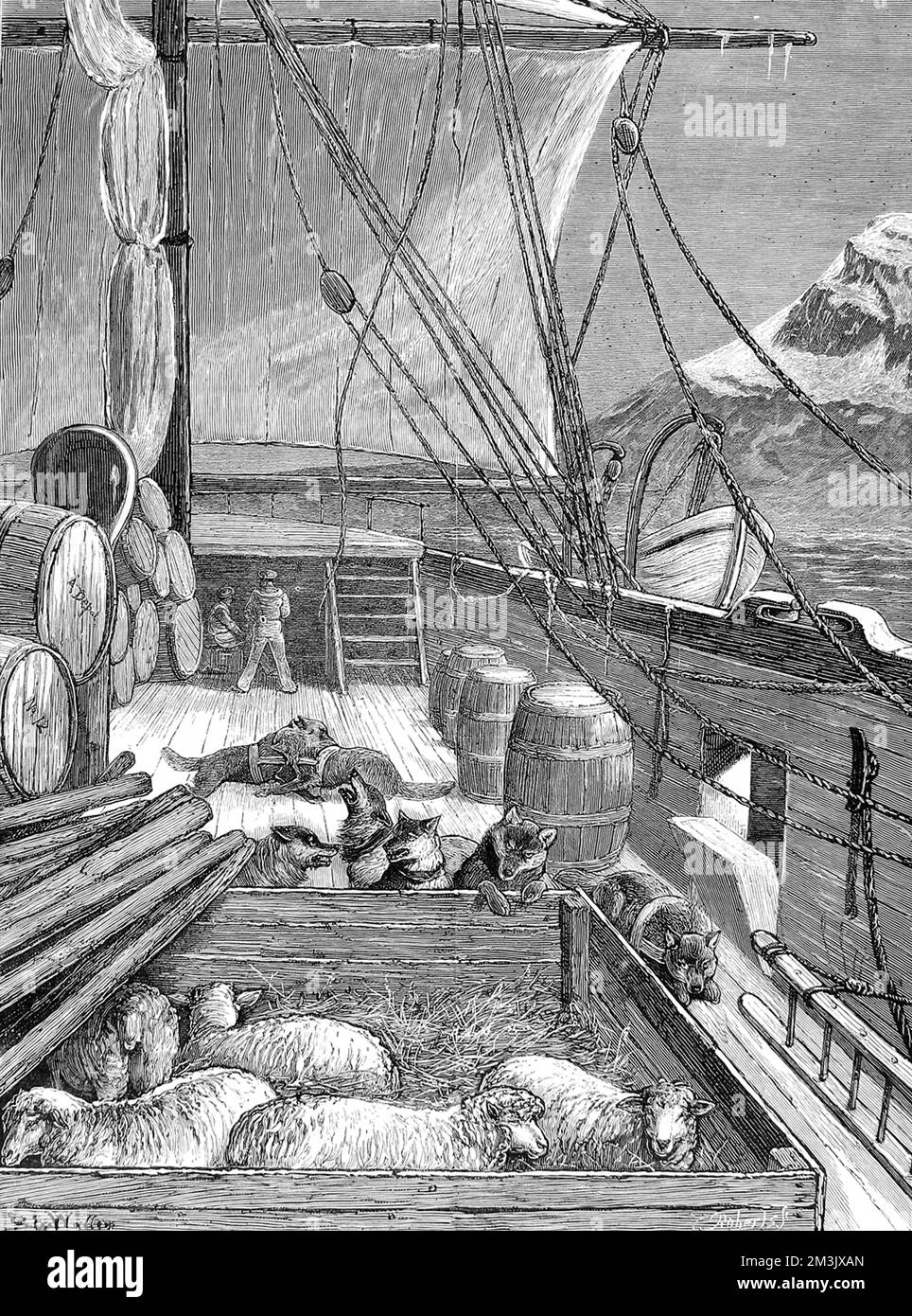 The Deck of HMS 'Alert', British Arctic Expedition, 1875 Stock Photo ...