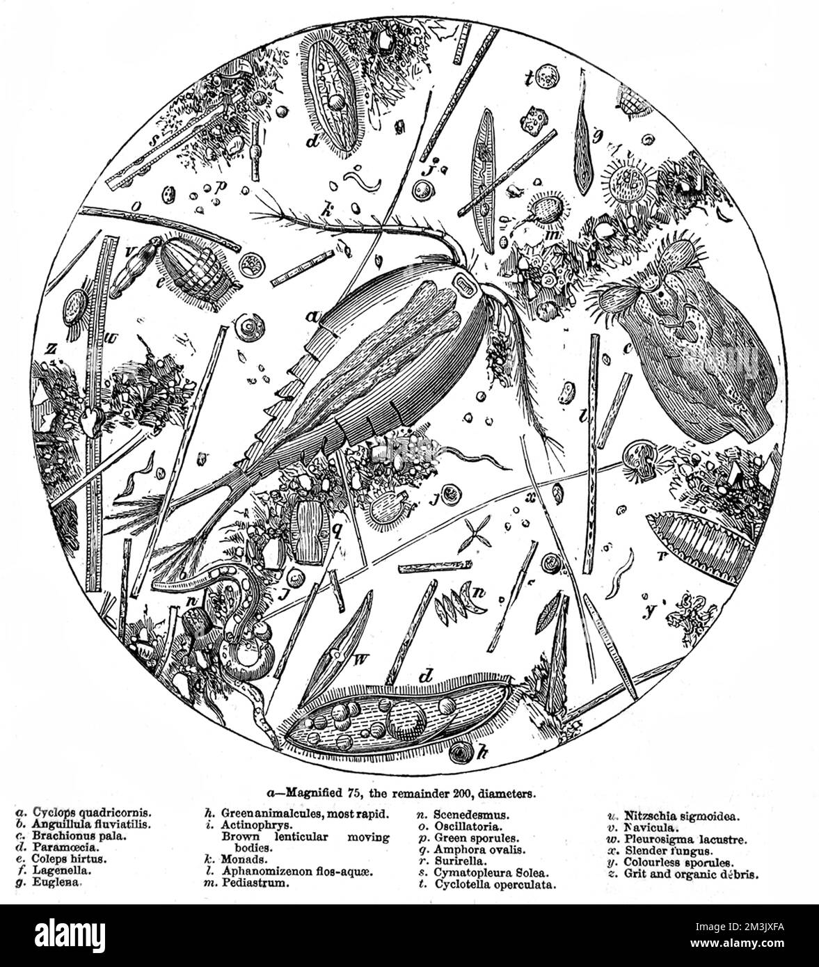 Clean water sample Cut Out Stock Images & Pictures - Alamy