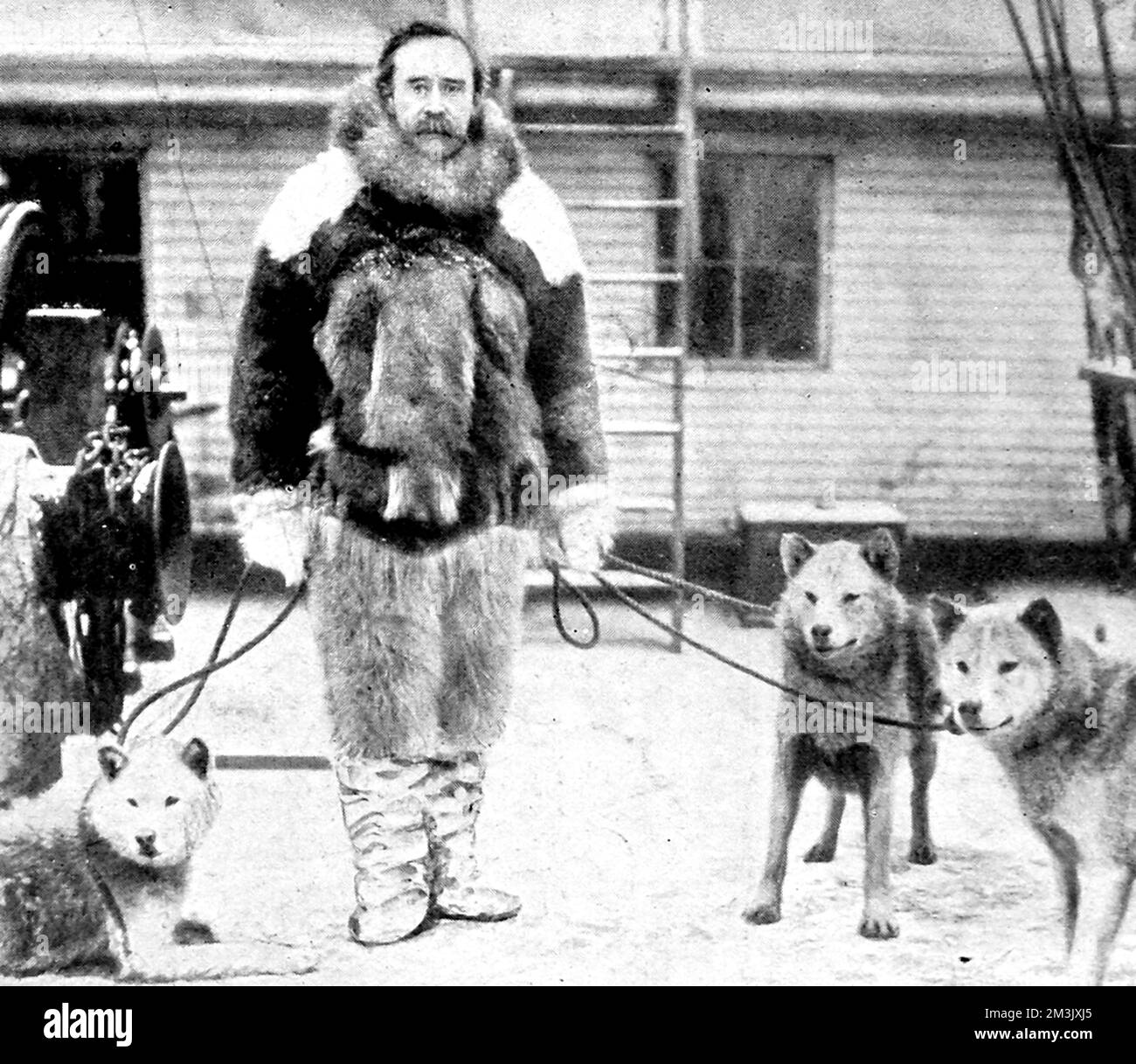 Robert E. Peary and some husky dogs, 1909 Stock Photo - Alamy