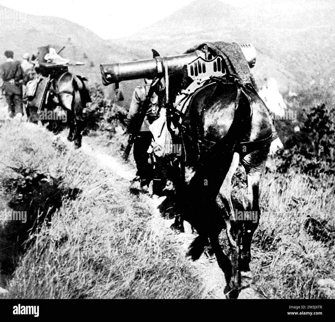 Machine Gun on a Mule, near San Martial; Spanish Civil War Stock Photo ...