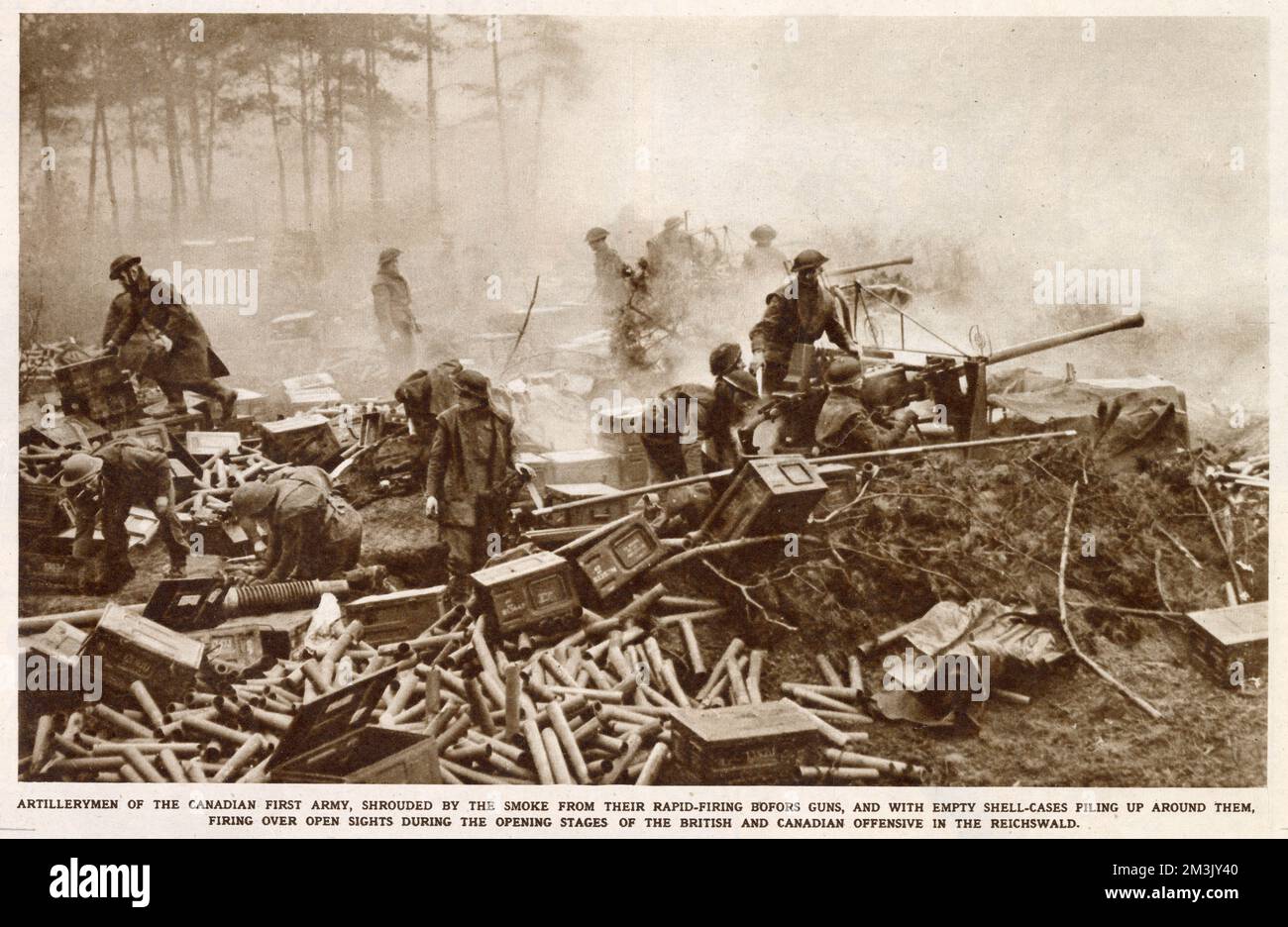 Canadian First Army Bofors Guns, Reichswald Stock Photo - Alamy