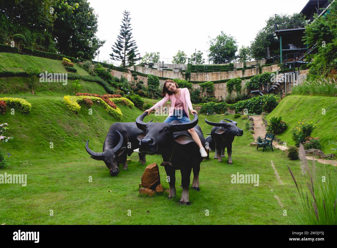 Man with a buffalo statue Stock Photo - Alamy