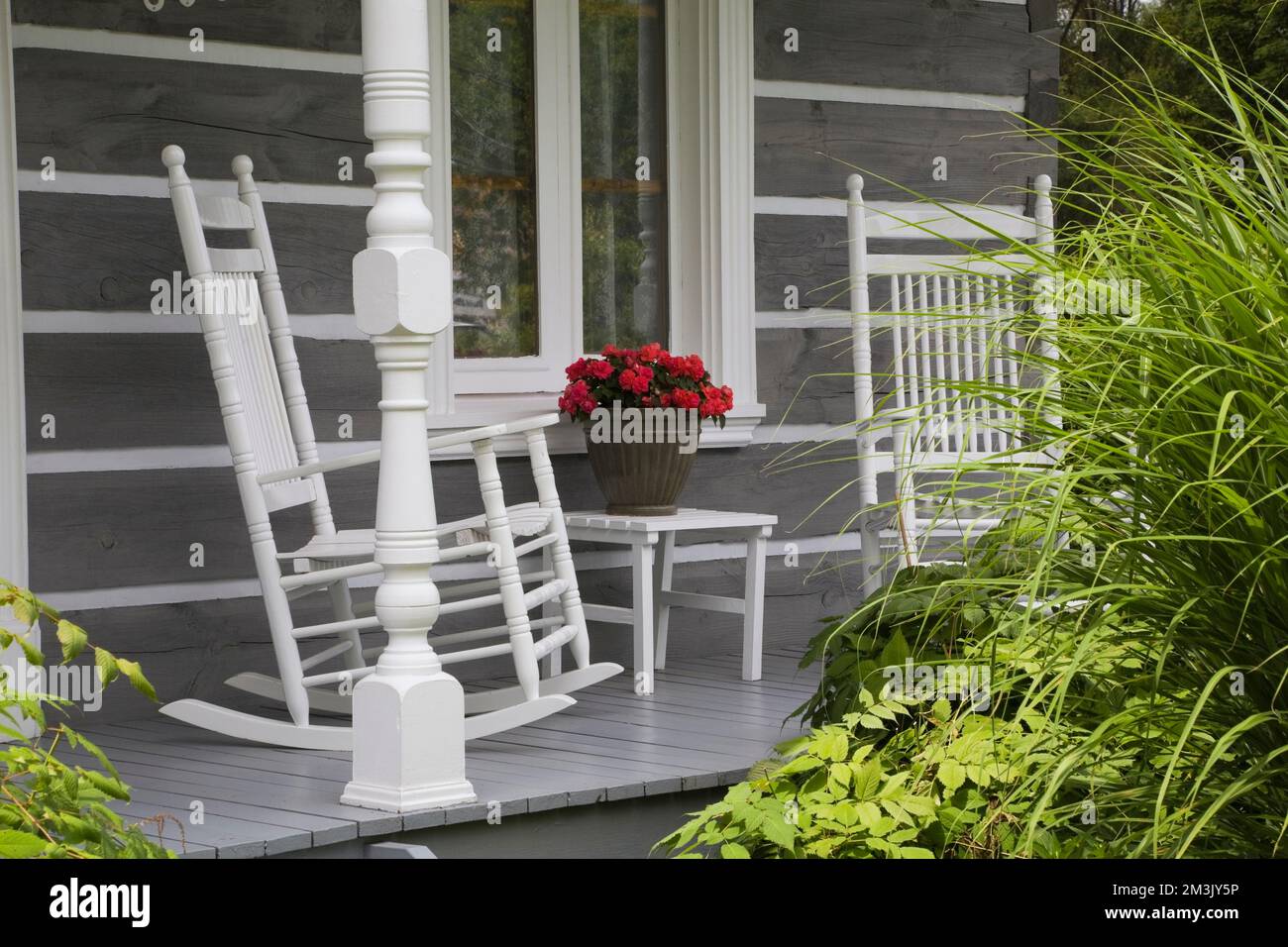 White antique wooden rocking chairs and table with red Rosa - Roses in ...