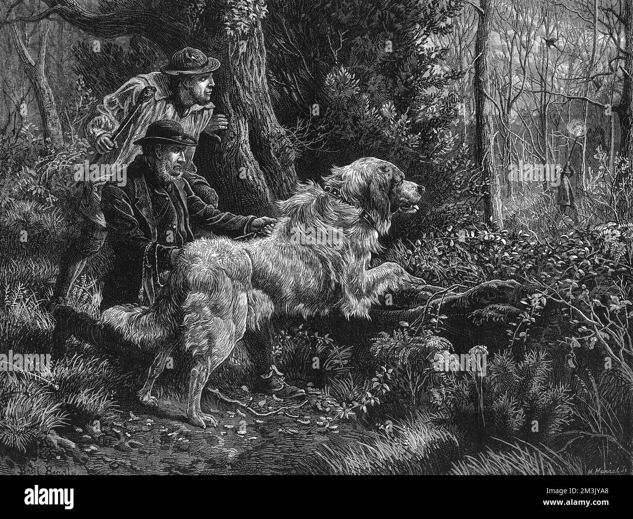 Poacher hi-res stock photography and images - Alamy