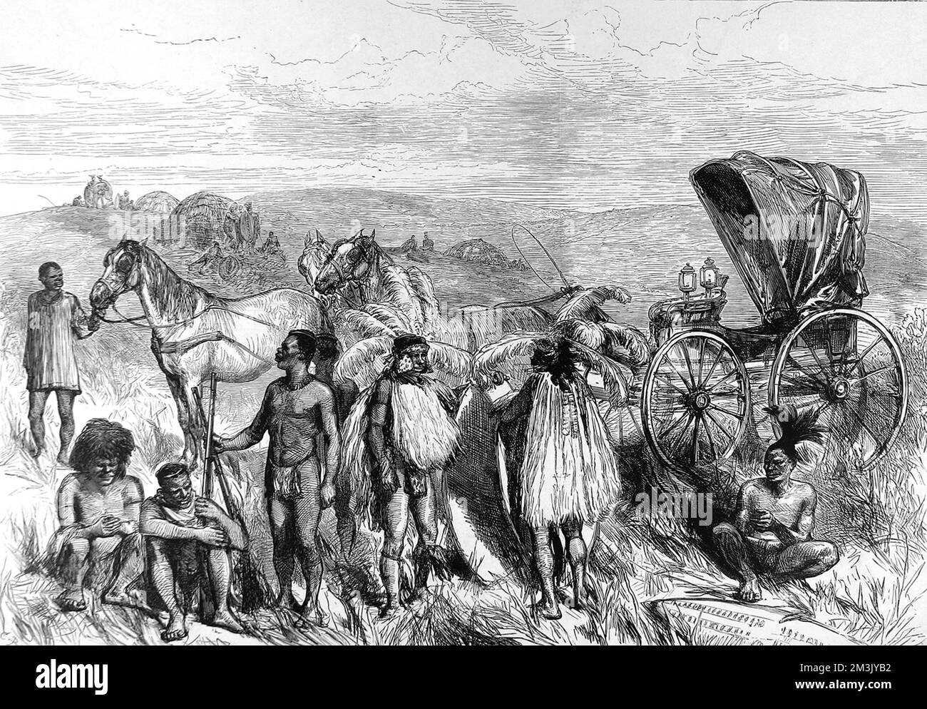 Zululand. The King of Zululand's carriage Stock Photo - Alamy