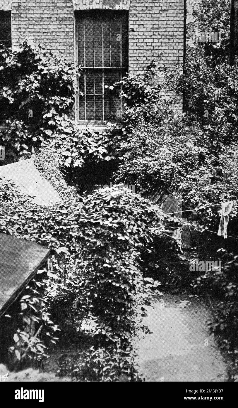 The back view of 39 Hilldrop Cresent, Camden, London Stock Photo - Alamy