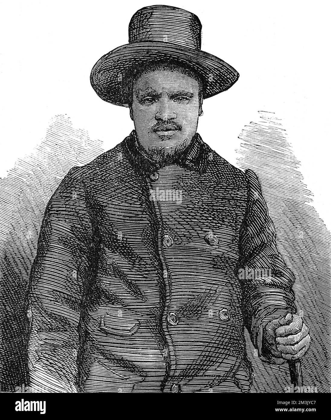 The Zulu wars. The restoration of Cetshwayo Stock Photo - Alamy